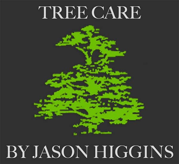 Tree Care By Jason Higgins | Kenilworth Tree Surgeon